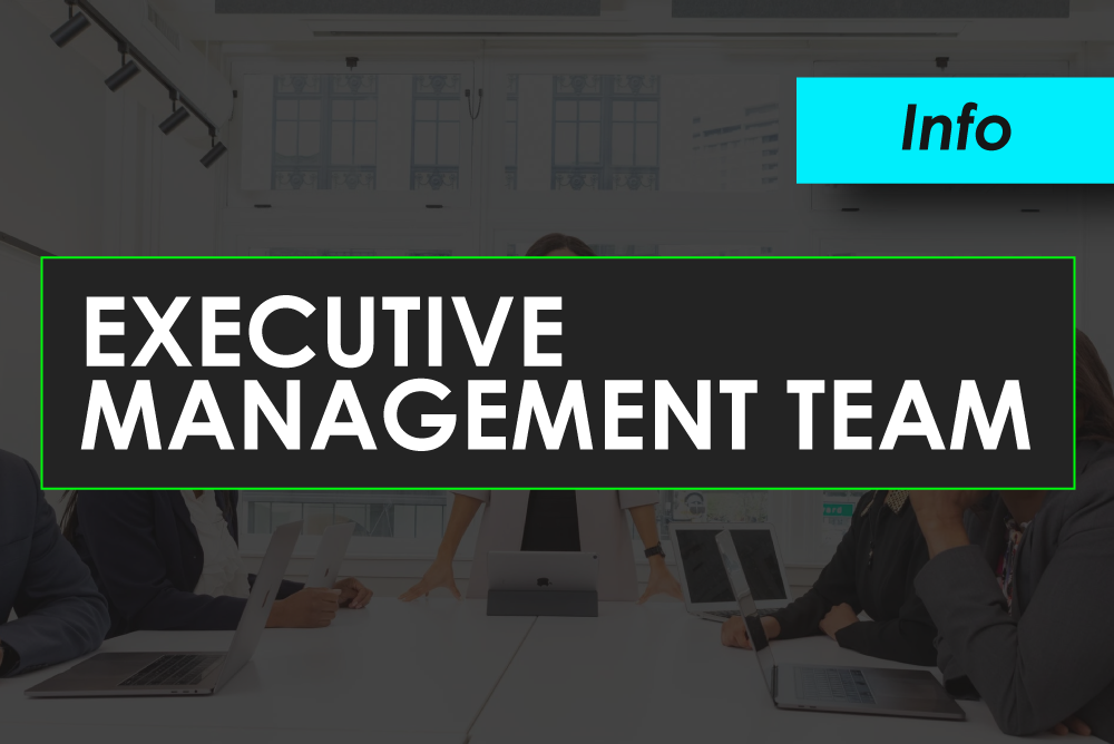 Achieving Excellence with Effective Executive Management