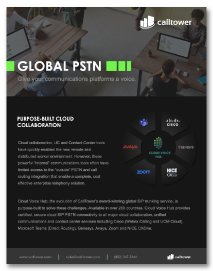 CallTower’s Global PSTN - CallTower